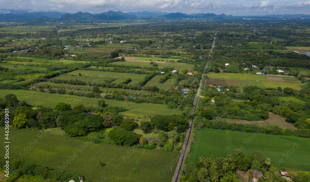 top view forest background, big tree Stock Photo | Adobe Stock