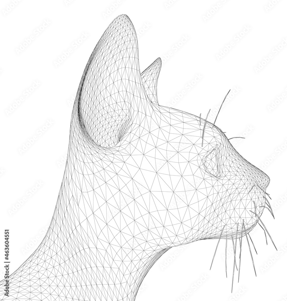 Cat Head Side View