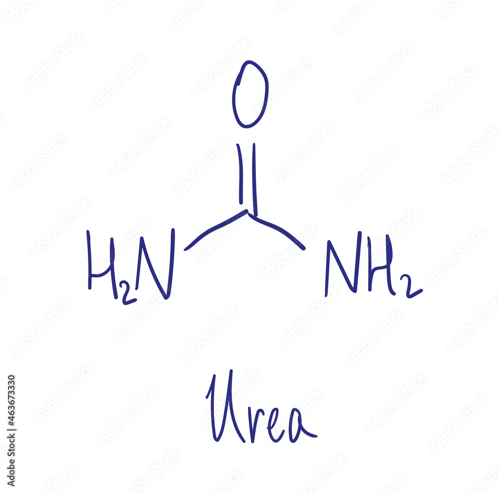 Urea chemical structure. Vector illustration Hand drawn. Stock Vector ...