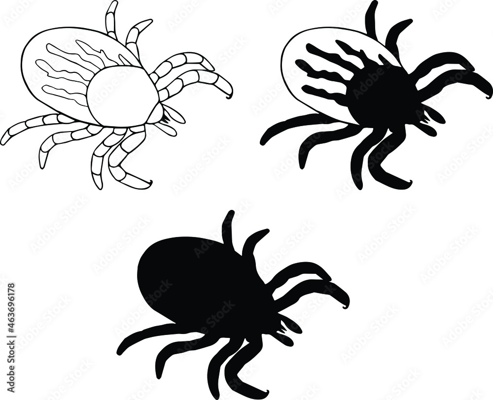 Tick Insect Clipart Set - Outline and Silhouette Stock Vector | Adobe Stock