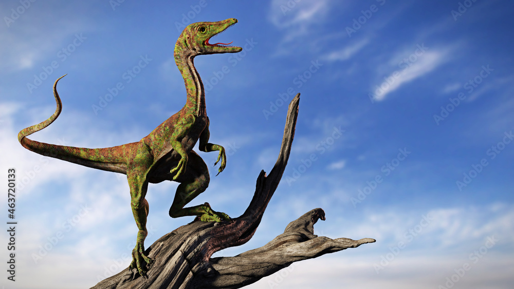 Compsognathus longipes, tiny dinosaur species from the Late Jurassic ...