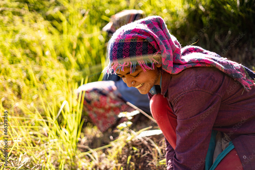 Portrait of an Indian female farmer in traditional dress. Indian girl ...