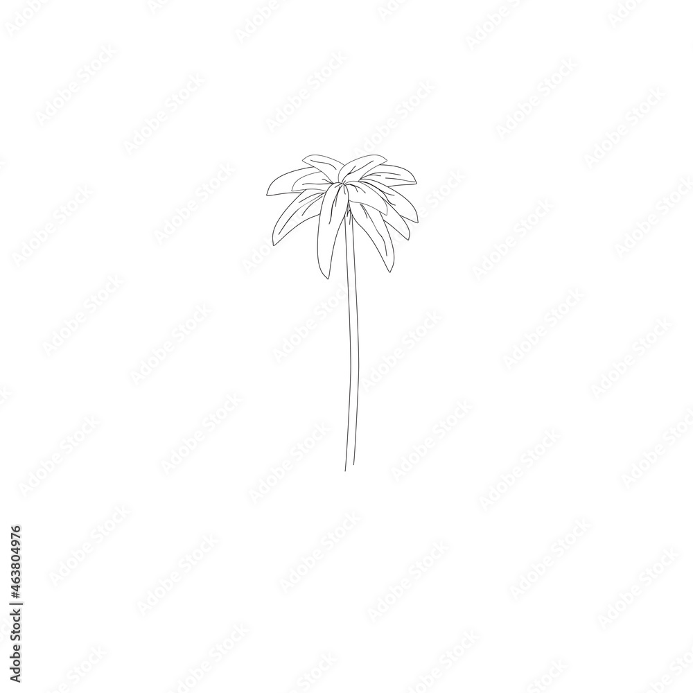 Palm tree poster isolated on white background. Modern palm trees summer ...