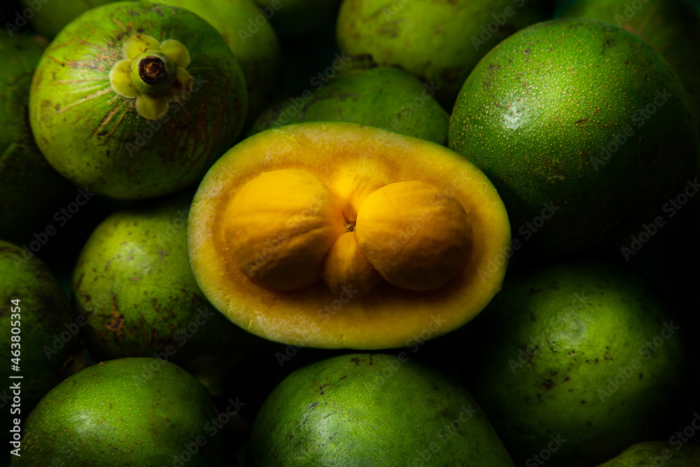 Alguns frutos maduros de pequi. Pequi, fruta do cerrado brasileiro ...