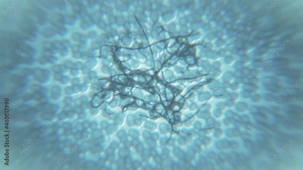 Cells in liqiuid under microscope close up macro view. Virus infection ...