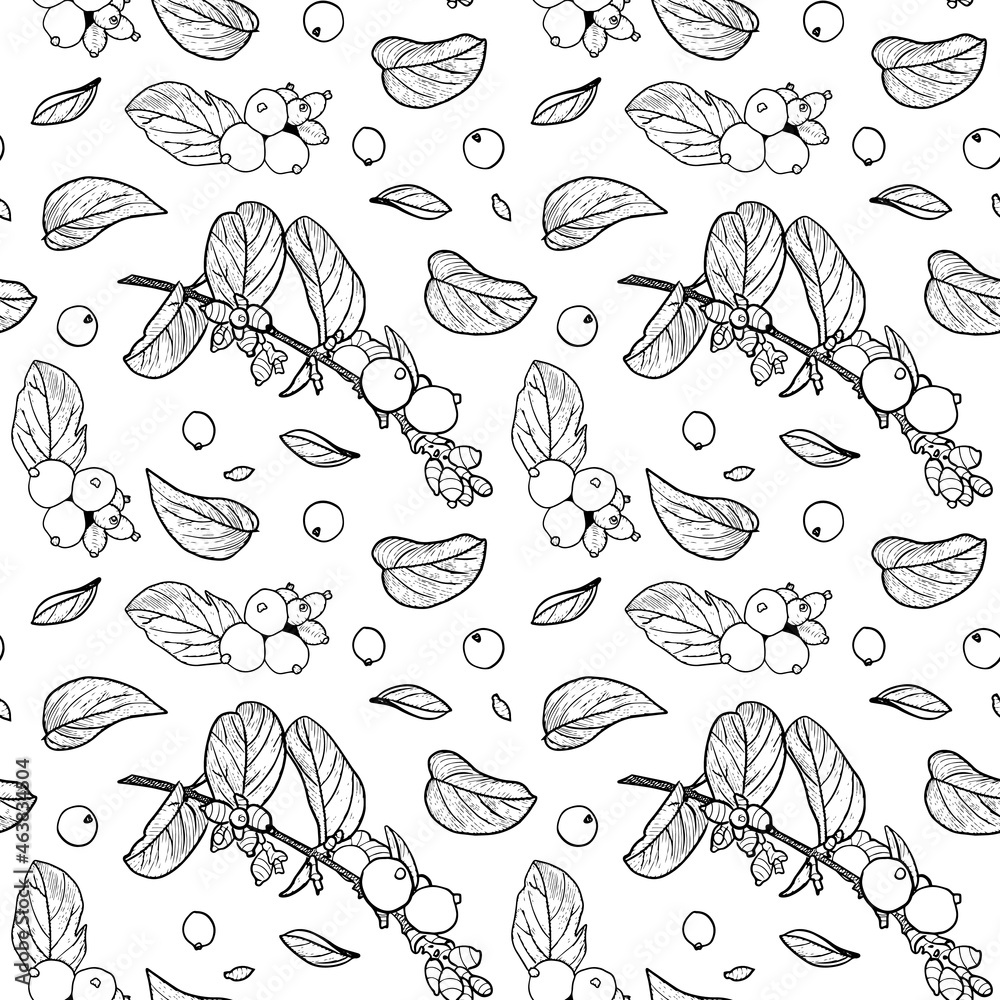 Pattern of branche of snowberry (Symphoricarpos albus) with berries ...