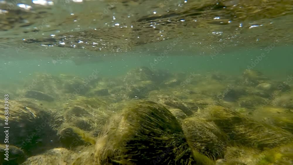 Underwater view rising above to see people floating on raft in the ...