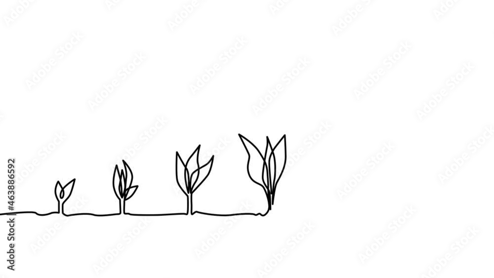 A continuous line of small to large sprouts self-draws. plant growing ...