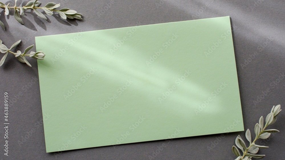 Mockup of blank light green card on gray background with silver plant ...