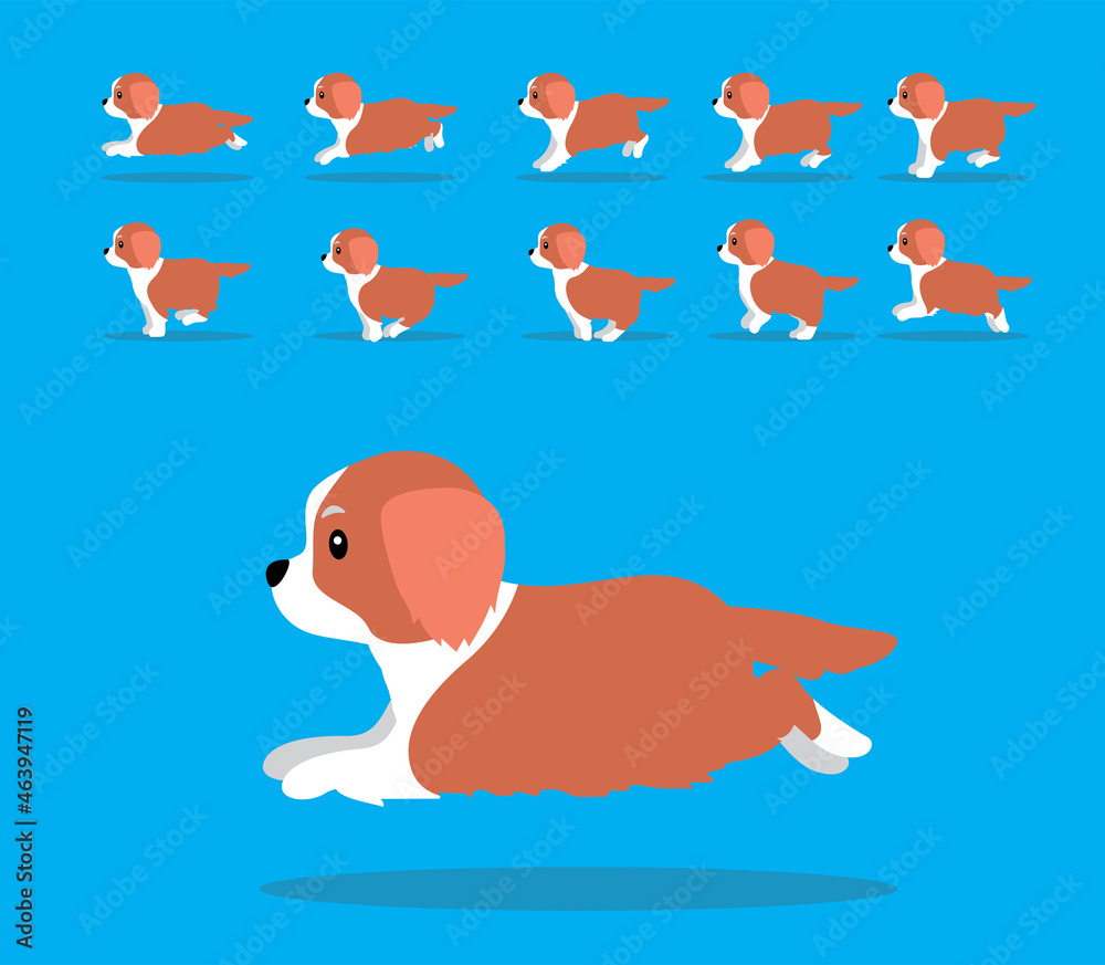 Animal Animation Sequence Dog Australian Shepherd Cartoon Vector Brown ...