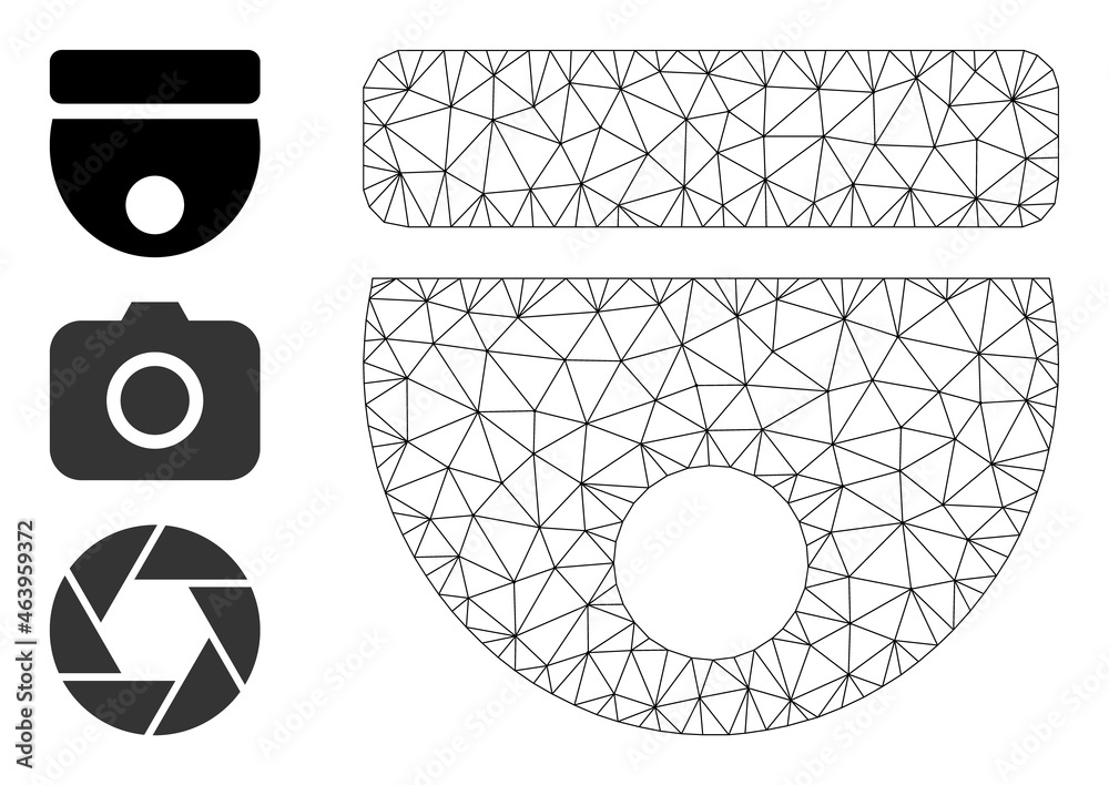 Web mesh CCTV camera vector icon, and source icons. Flat 2d carcass ...