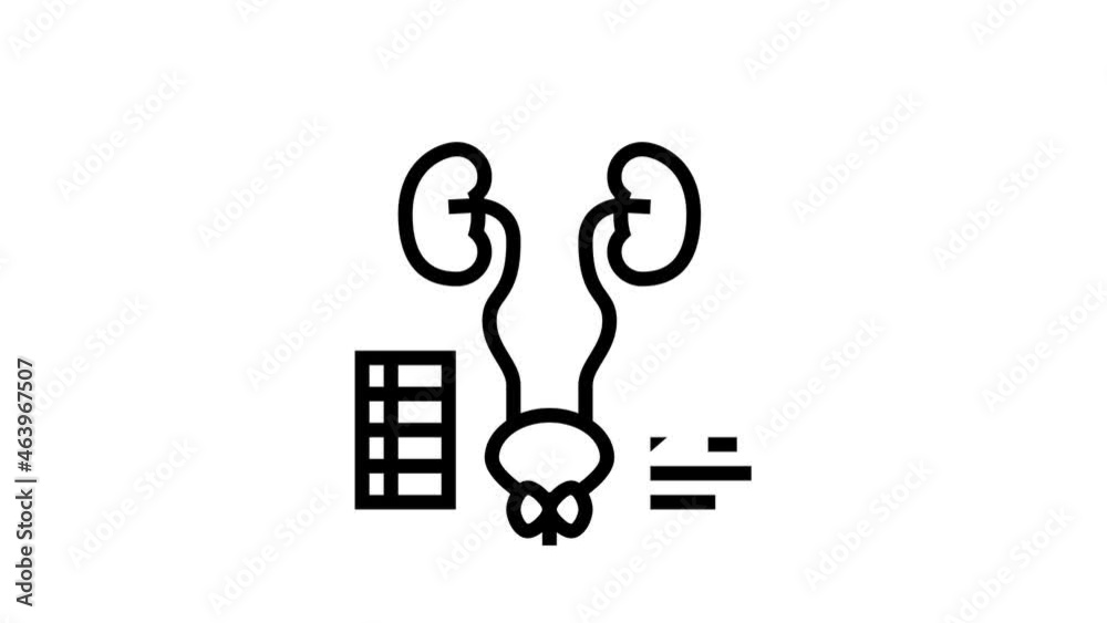 examining genitourinary system animated line icon. examining ...