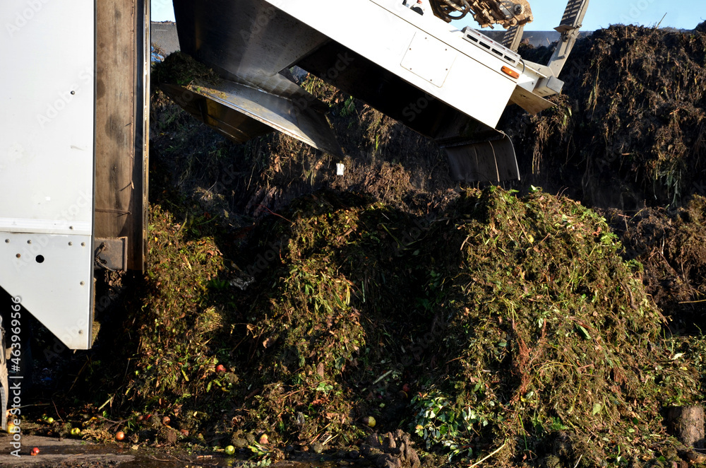 unloads bio-waste from a garbage truck. the man has opened the lid and ...