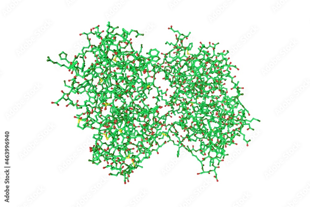 Molecular model of human cathepsin F, a protein that in humans encoded ...