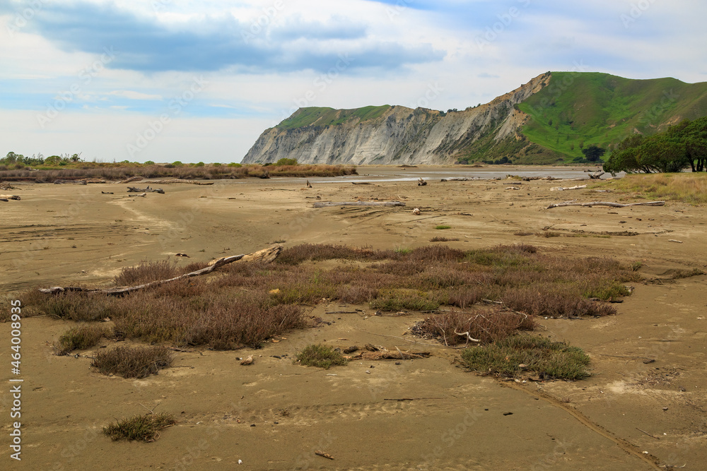Zdjęcie Stock: Te Wherowhero Lagoon, a tidal estuary on the edge of ...