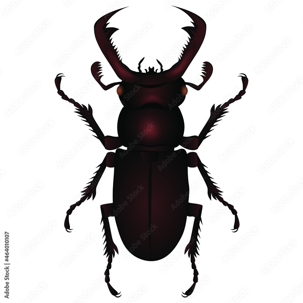 Dark red stag beetle. Horned beetle Lucanus. Vector illustration Stock ...