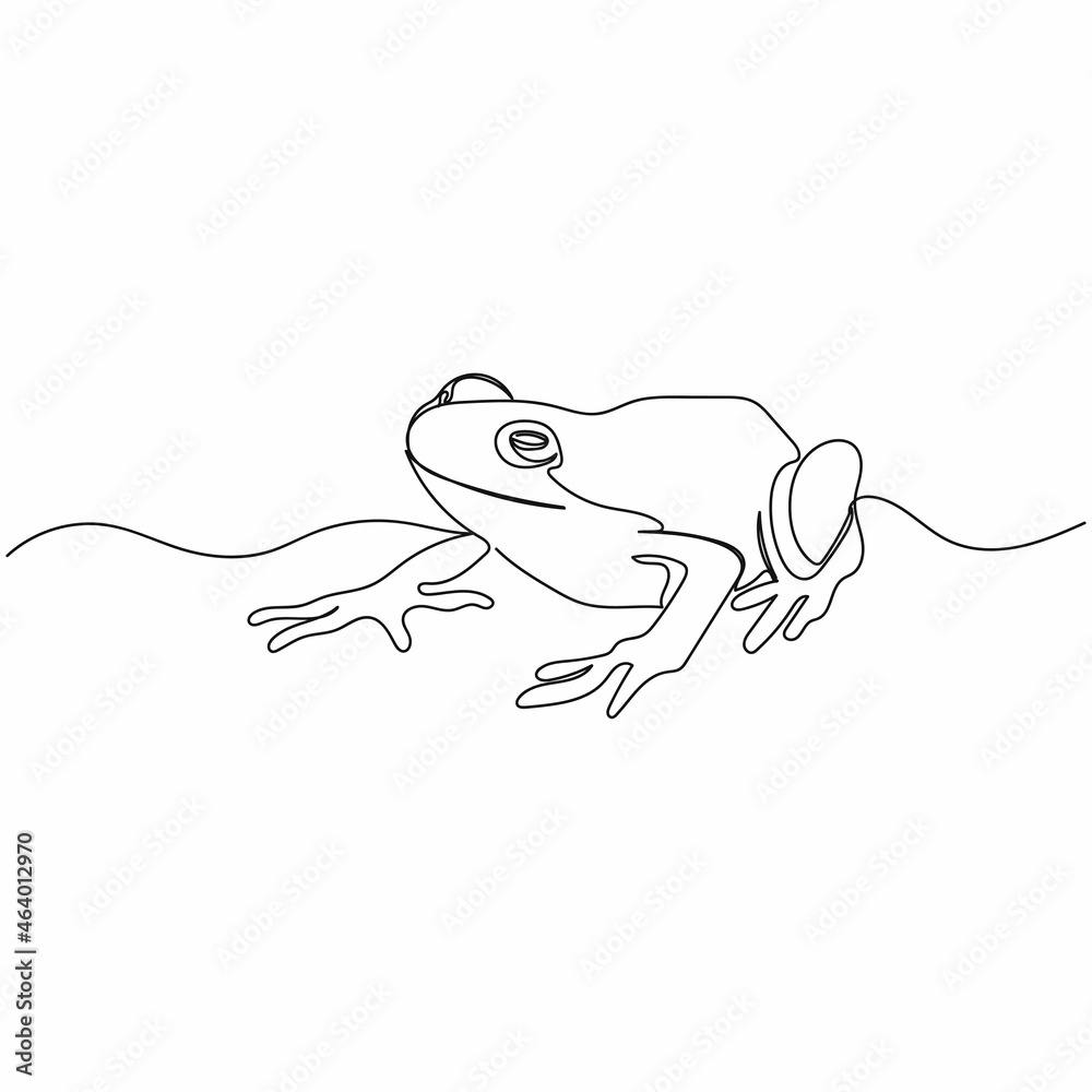 Images Of Frog Line Drawing
