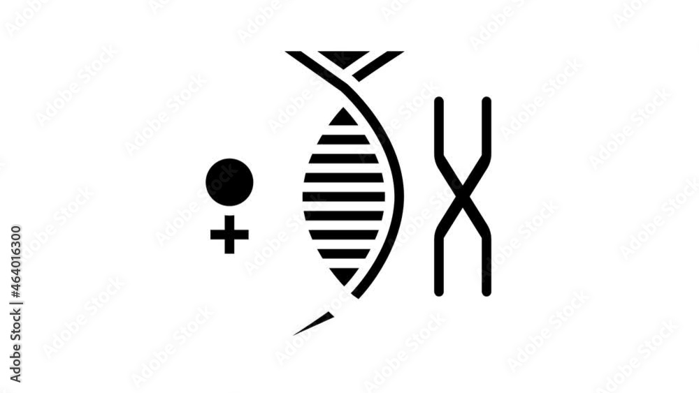 female chromosome genetic animated glyph icon. female chromosome ...