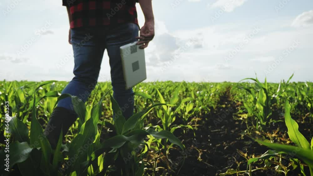 Agribusiness concept. Yong handsome agronomist holds tablet computer in ...