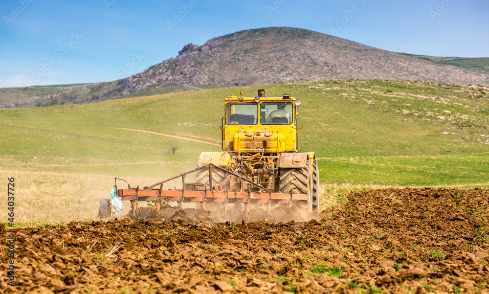 Harvesting, the harvester machine is harvesting, plowing the land ...