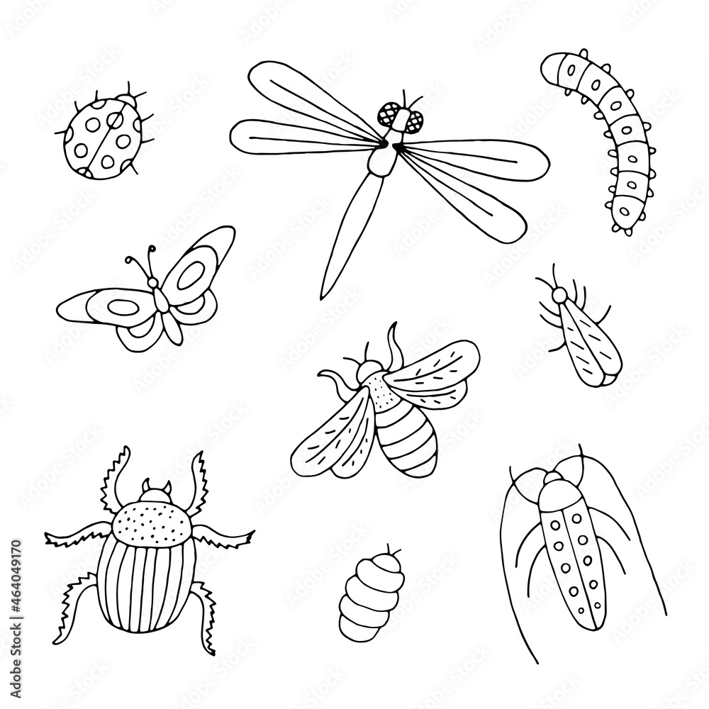Insect collection. Dragonfly. Caterpillar. Butterfly. Beetle. Ladybug ...