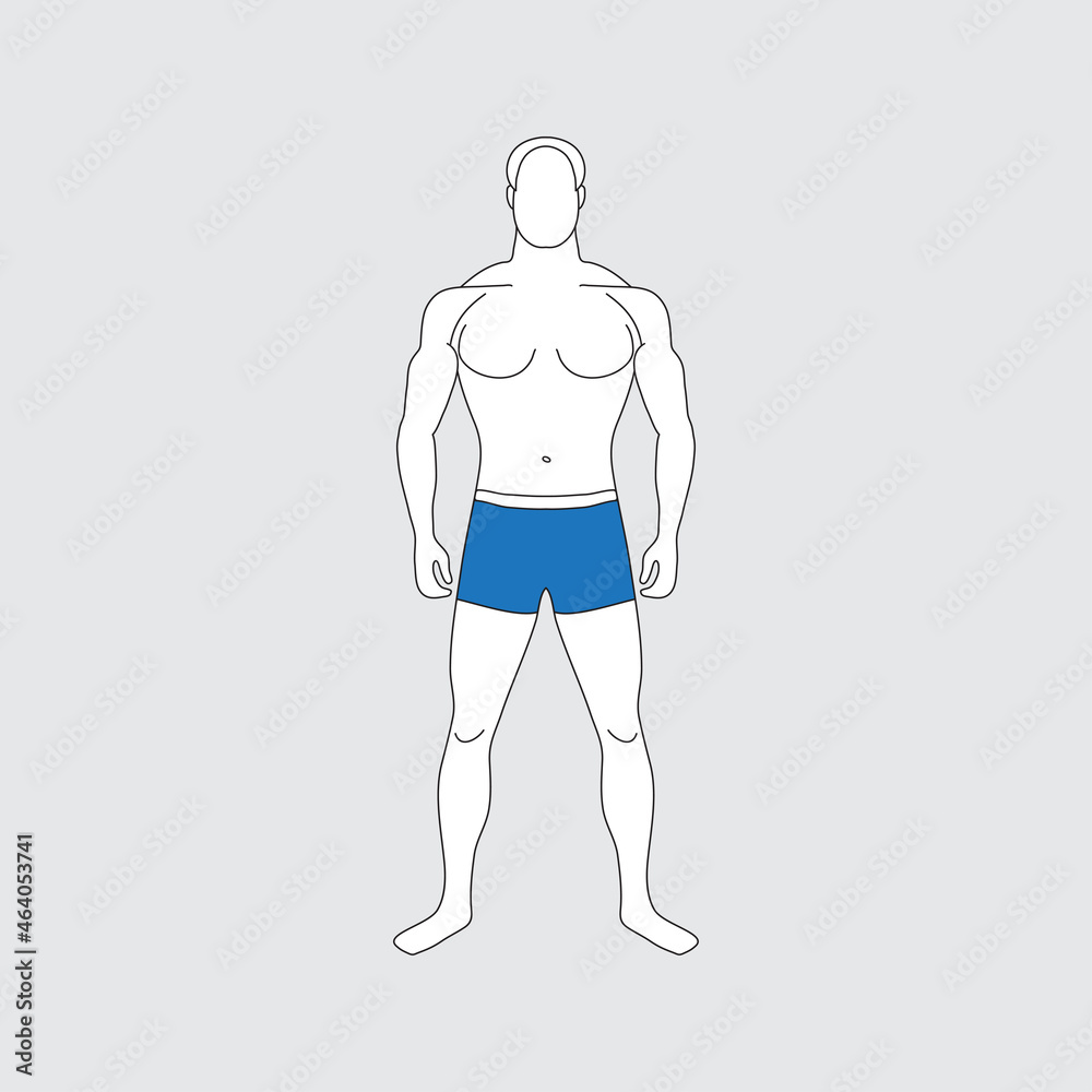 Adult man delineation in blue swimming trunks. Full-length white male ...