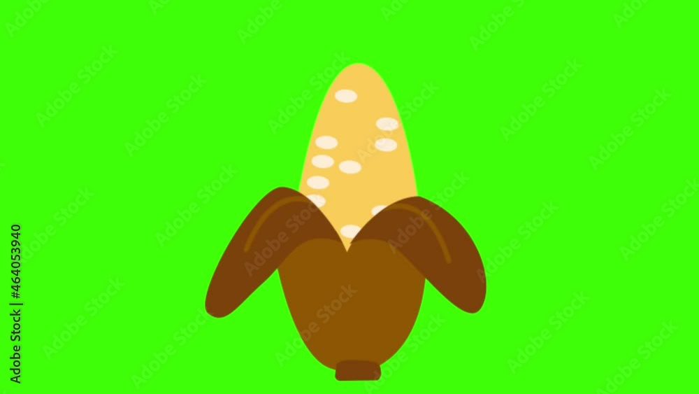 2D animated illustration of corn on a green screen Stock Video | Adobe ...