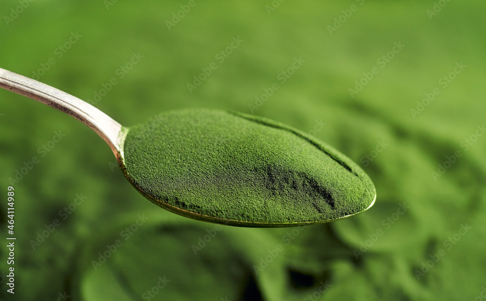 Chlorella Algae