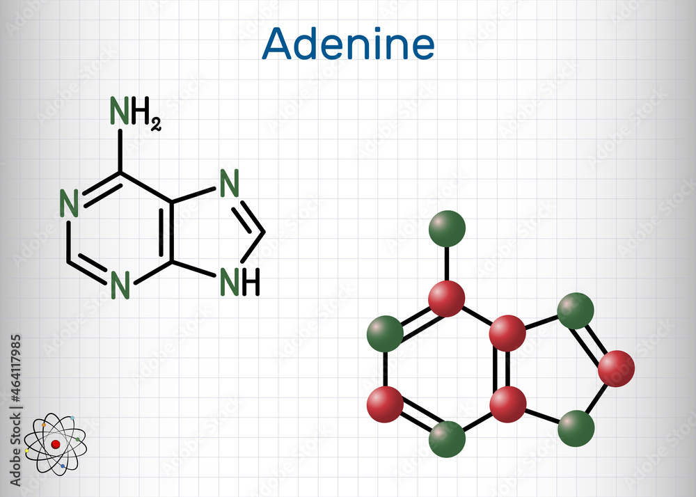Adenine, Ade molecule. It is purine nucleobase, fundamental unit of the ...