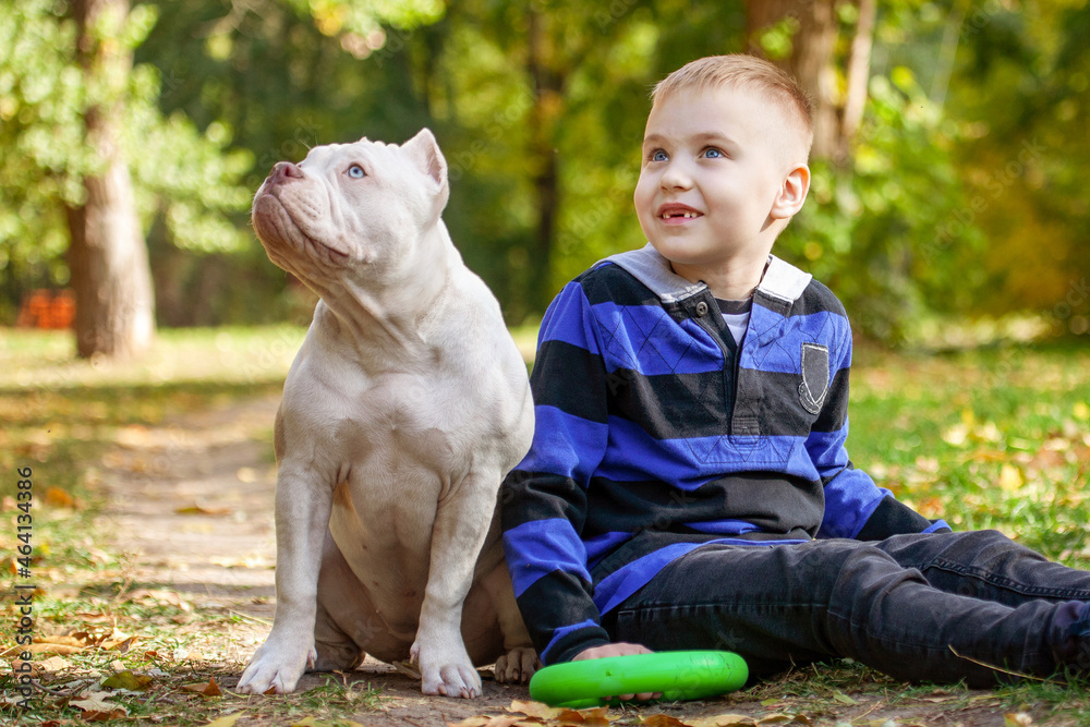 Cute little boy with his friend, five months old puppy of American ...
