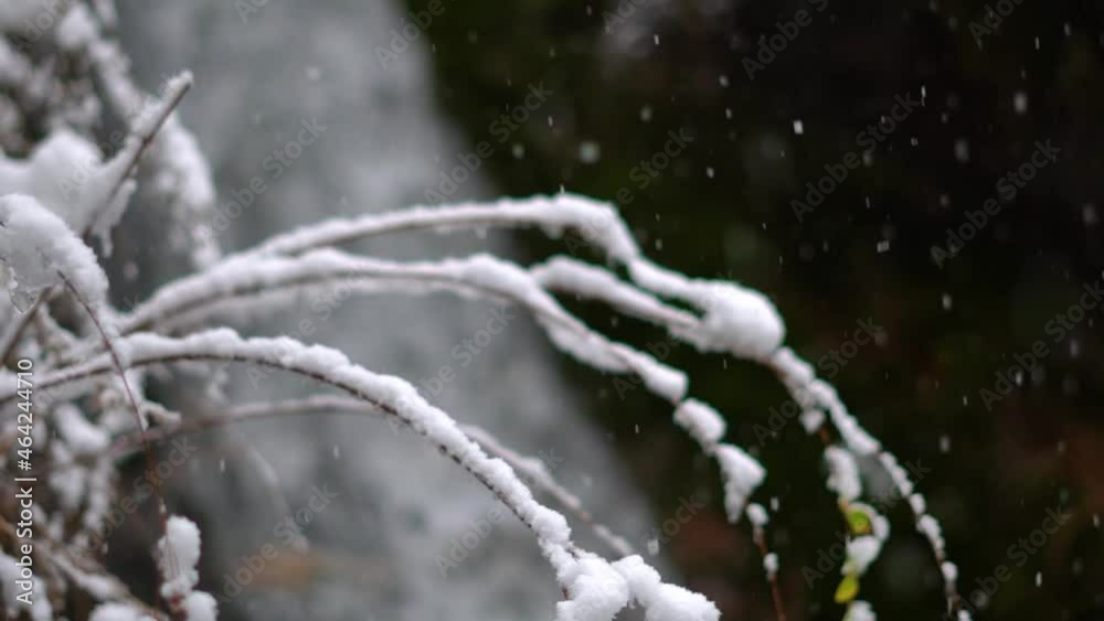 Vidéo Stock Closeup shot of snow on the branches of a tree in front of ...