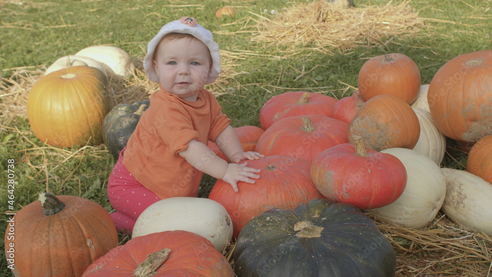 Baby with pumpkins. Children use all of their senses to explore. They ...