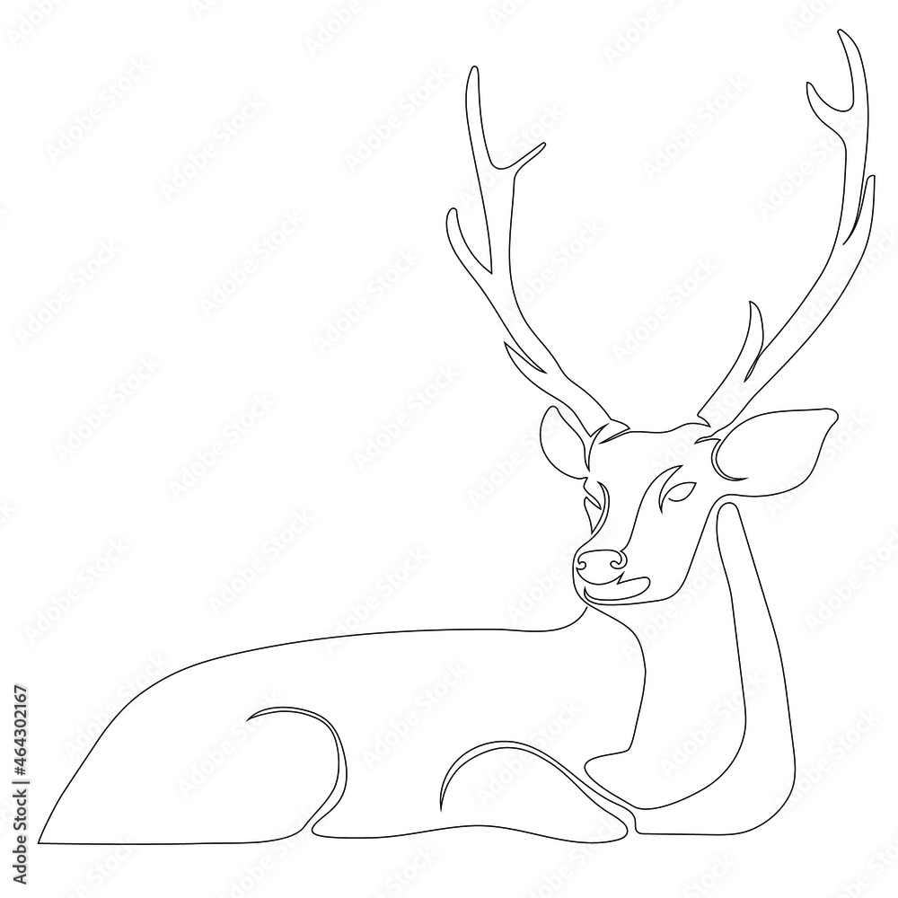 Continuous one line drawing of deer, Vector illustration line art ...
