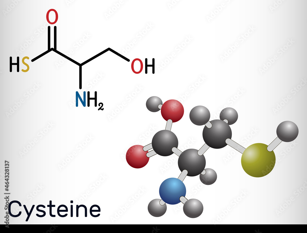 Cysteine, Cys, proteinogenic amino acid molecule. Structural chemical ...