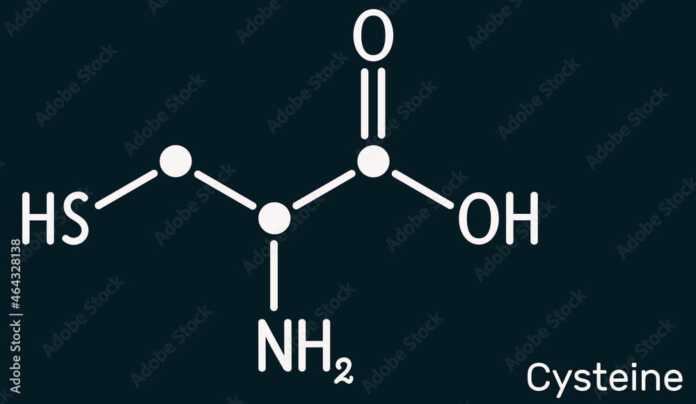 Cysteine, Cys, proteinogenic amino acid molecule. Structural chemical ...