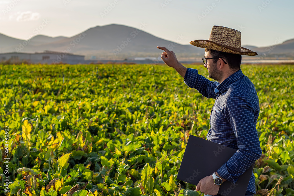 Smart farming, using modern technologies in agriculture. young man ...