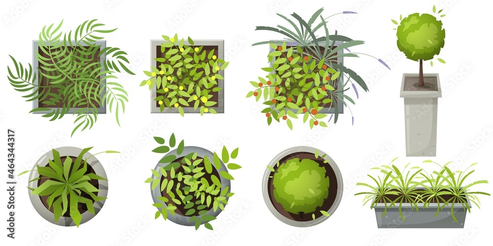Plants in pots top view. Different colored plants and trees vector set ...