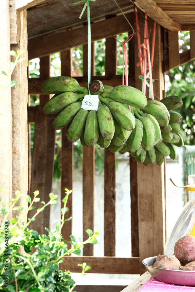 Bananas are hung on strings with price tags for sale. Saba banana or ...