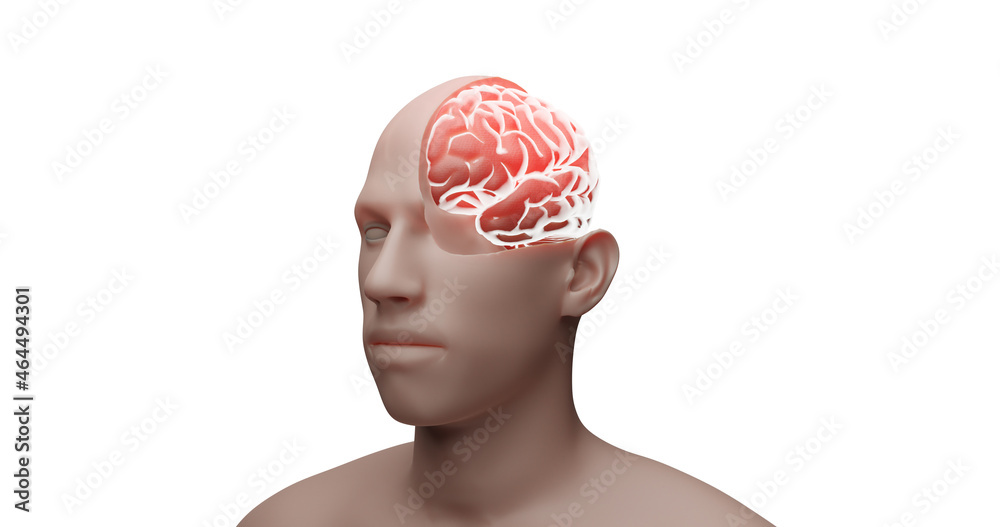 3D illustration render of a human brain burning red. Incision of the ...