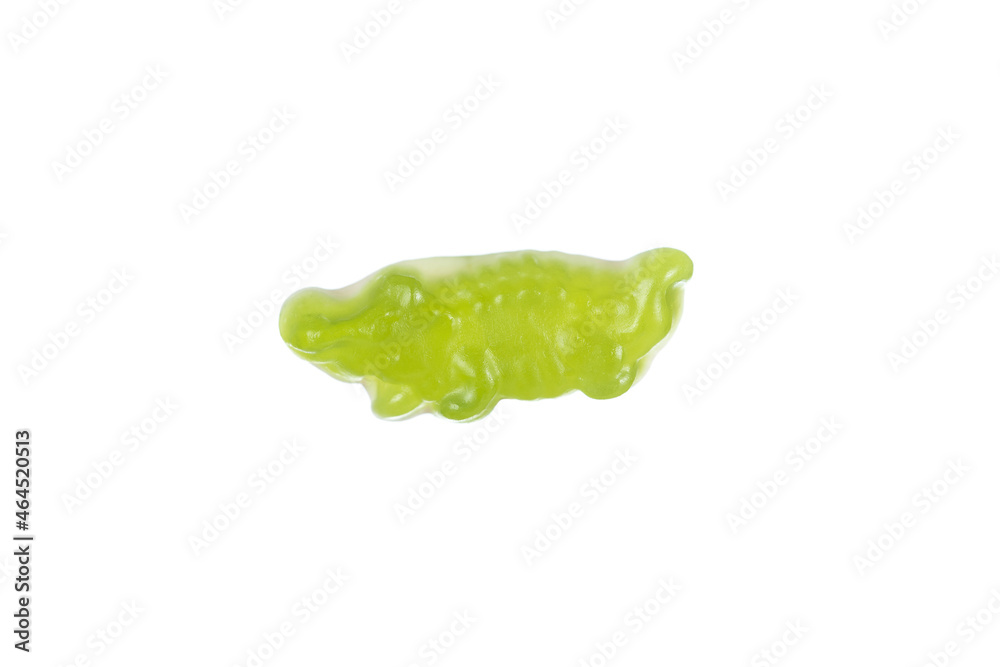 Gummy Jelly in form of alligator isolated on white background. Stock ...