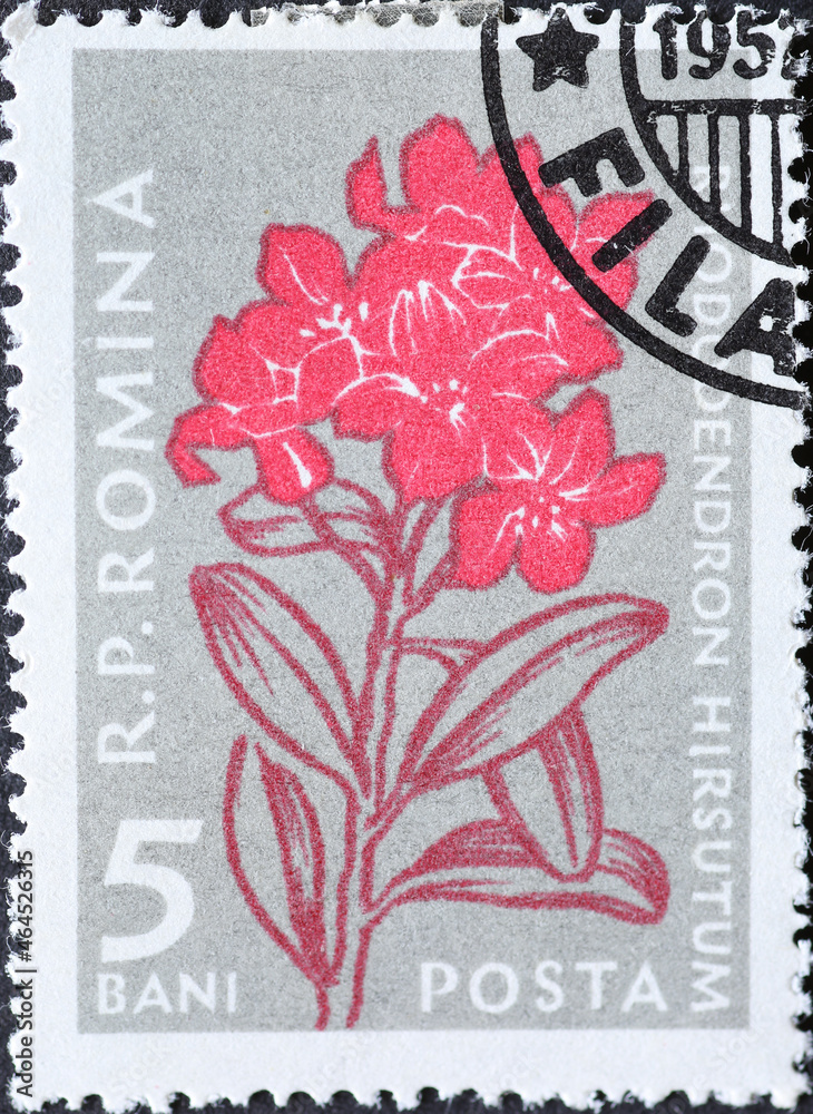 Foto de Romania - Circa 1957: a postage stamp printed in the Romania ...