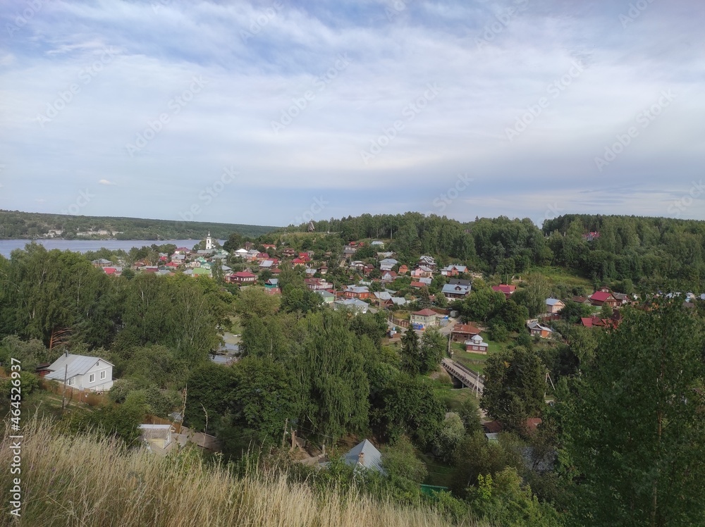 Nature near the Volga river. The coast with trees and other vegetation ...