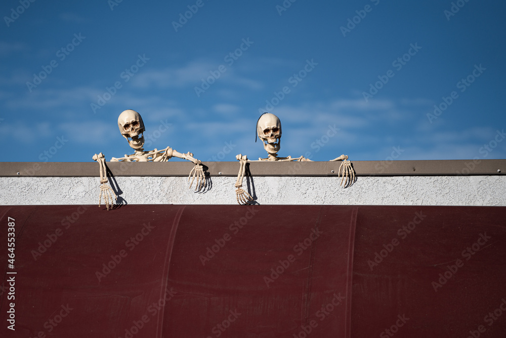 Two White Laughing Funny Smiling Skeletons on Rooftop with Blue Sky ...