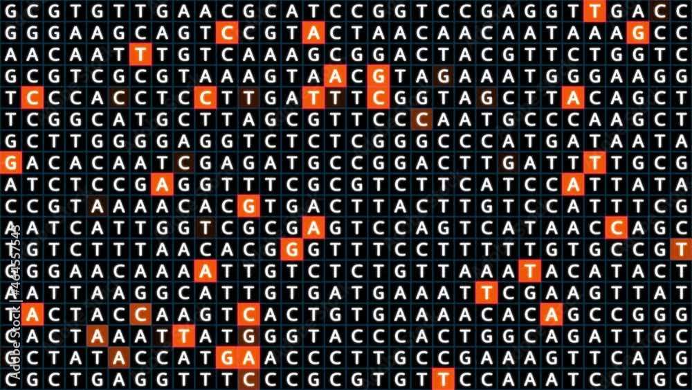 Loopable: Genetic mapping DNA sequence analysis abstract background ...
