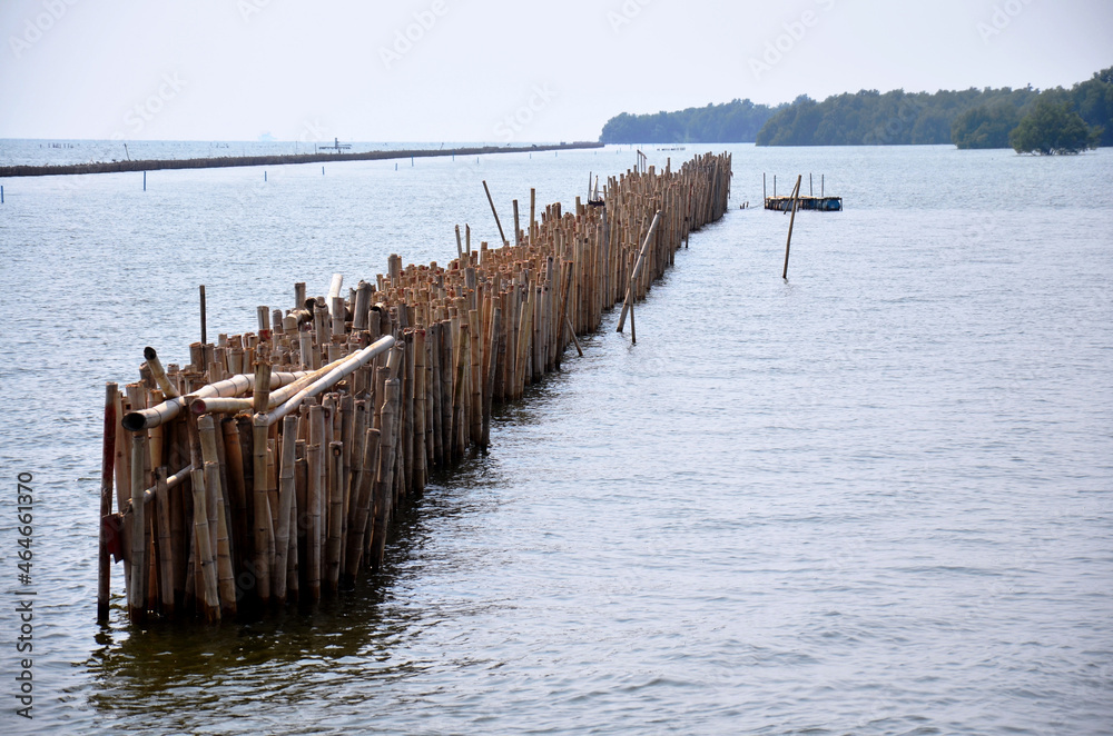 Bamboo wall barrier in sea ocean for protect wave coastal erosion at ...