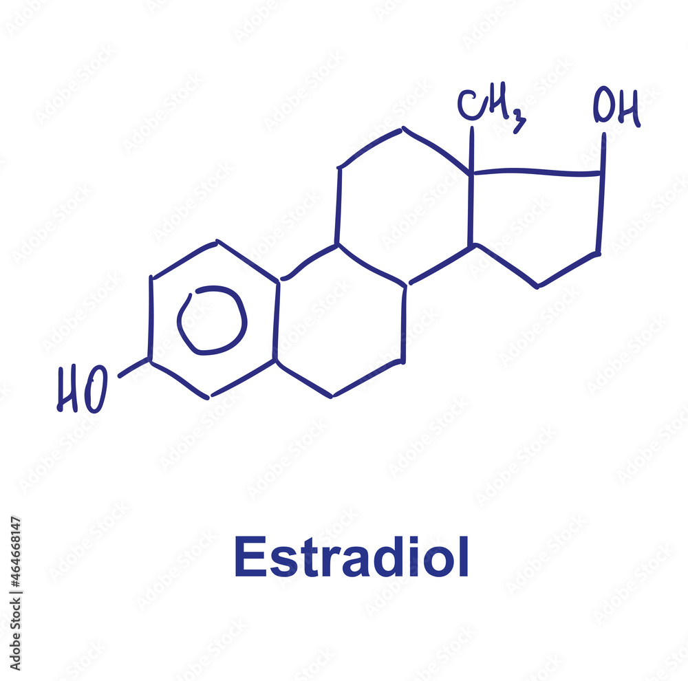 Estradiol chemical structure. Vector illustration Hand drawn. Stock ...