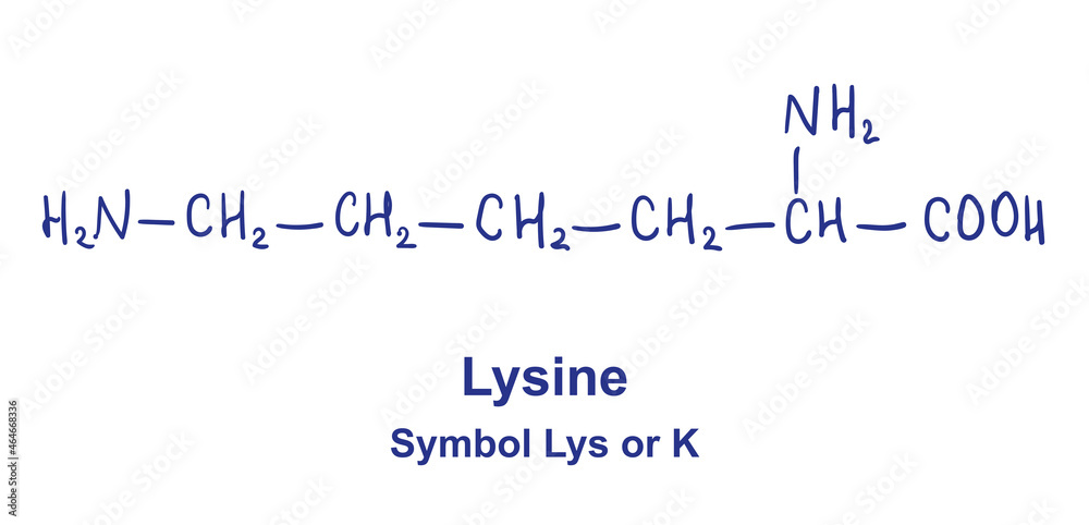 Lysine chemical structure. Vector illustration Hand drawn Stock Vector ...