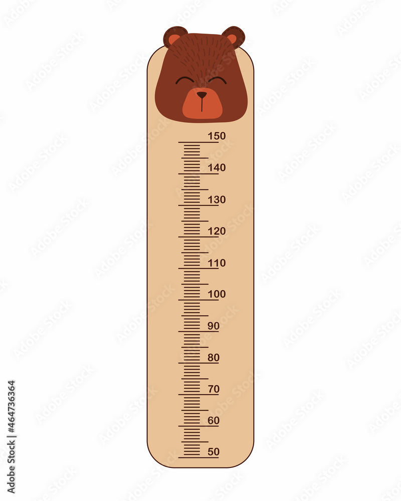 Kids meter wall with cute bear. Stadiometer for little children. Kids ...