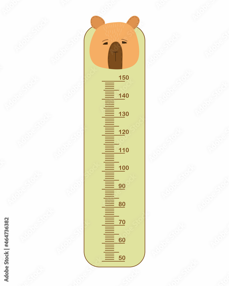 Kids meter wall with cute animal. Stadiometer for little children. Kids ...