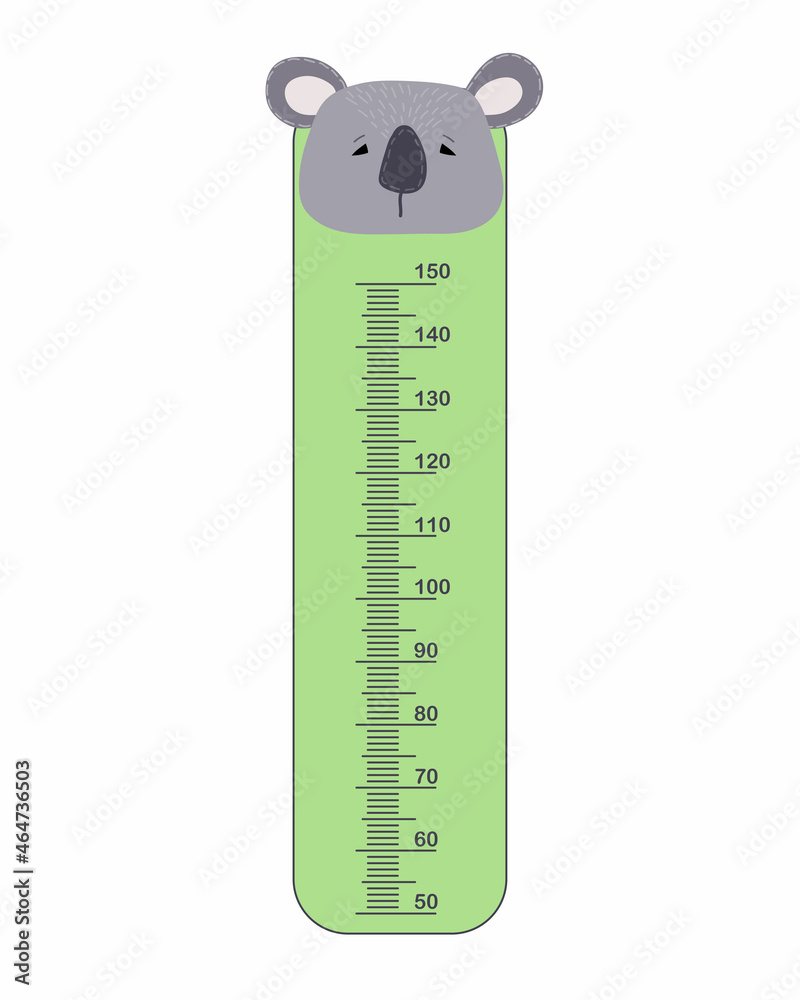 Kids meter wall with cute koala. Stadiometer for little children. Kids ...